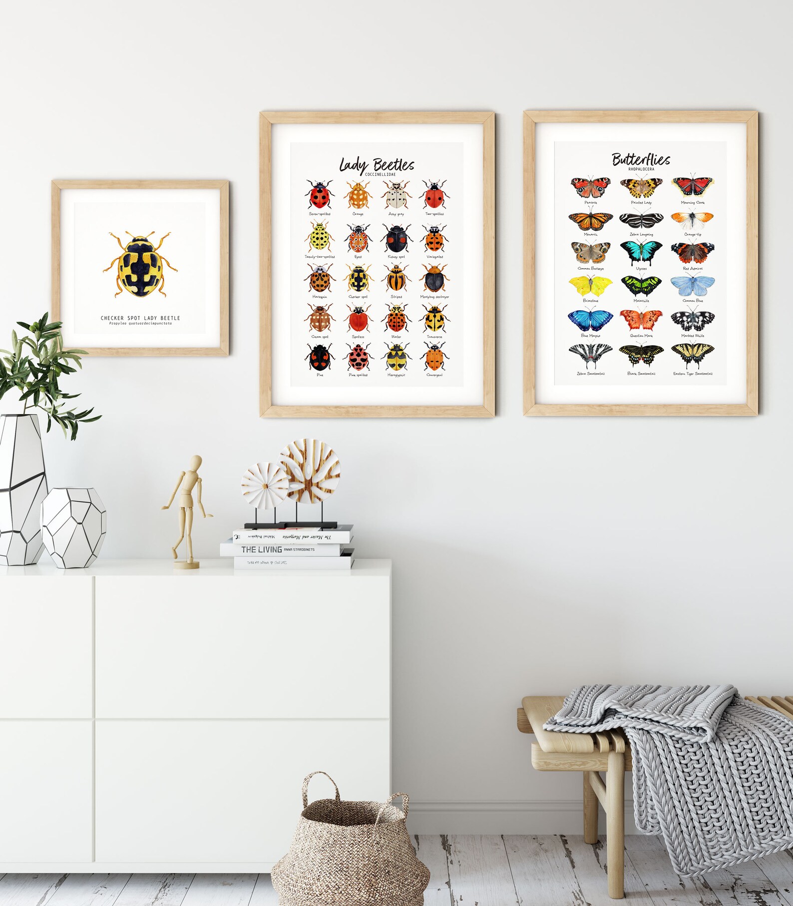 Checker Spot Ladybug, Ladybird, Lady Beetle Print | Living Room, Dining ...