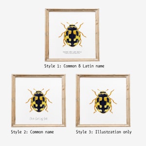 Checker Spot Ladybug, Ladybird, Lady Beetle Print | Living Room, Dining ...