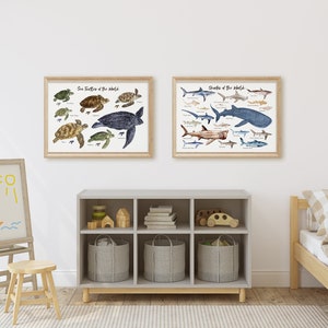 Sea Turtles of the World Wall Art | Nautical Home Décor | Ocean Animals ...