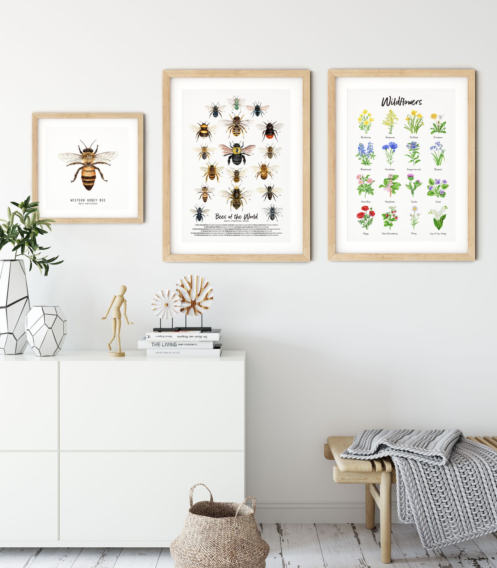 Bees of the World Set of 3 Prints Art Collection - Etsy