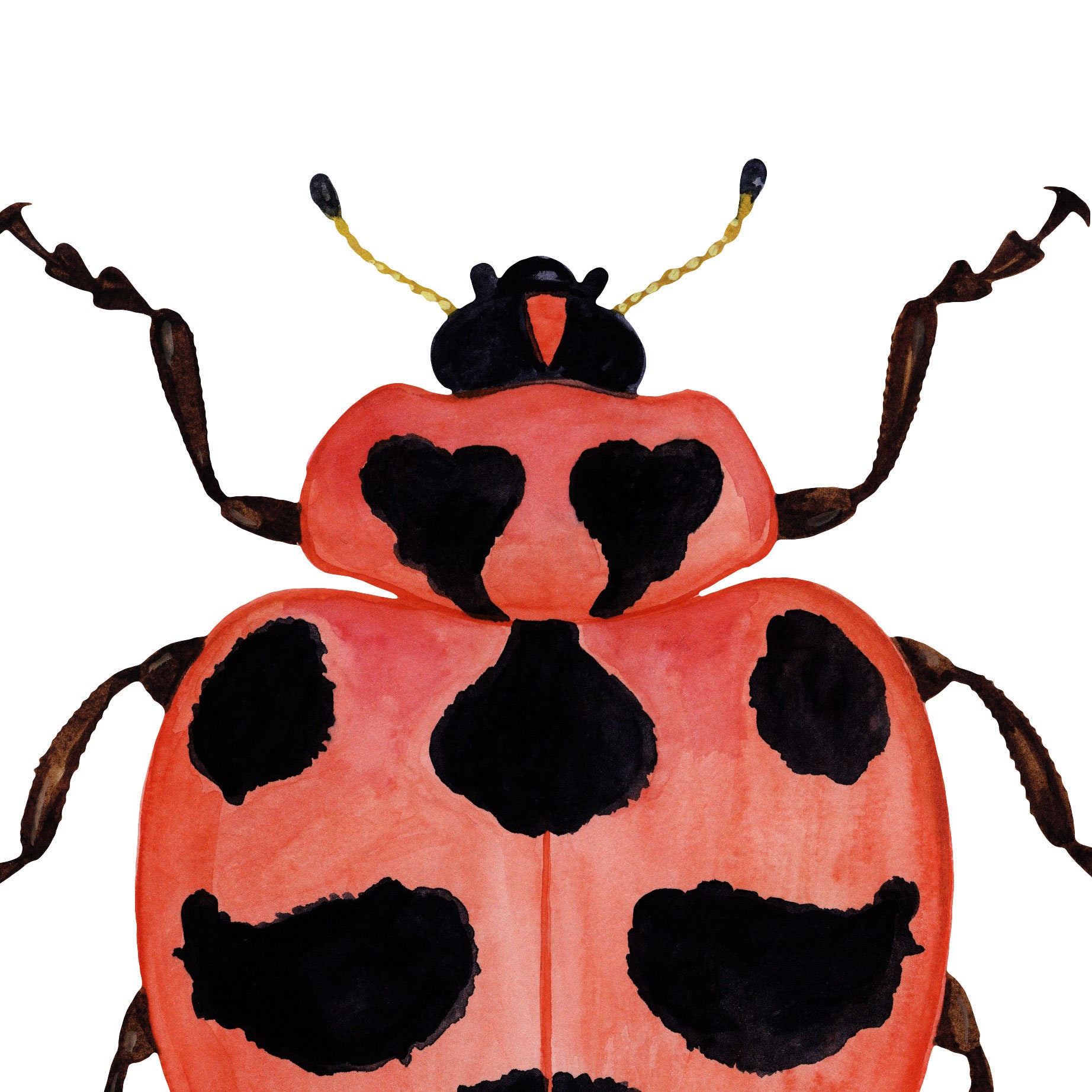 Pink-spotted Ladybug, Ladybird, Lady Beetle Print | Living Room, Dining ...