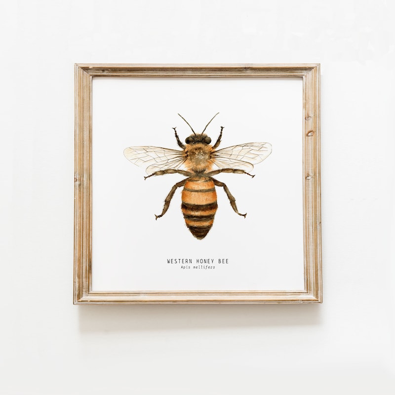 Honey Bee Art - Etsy