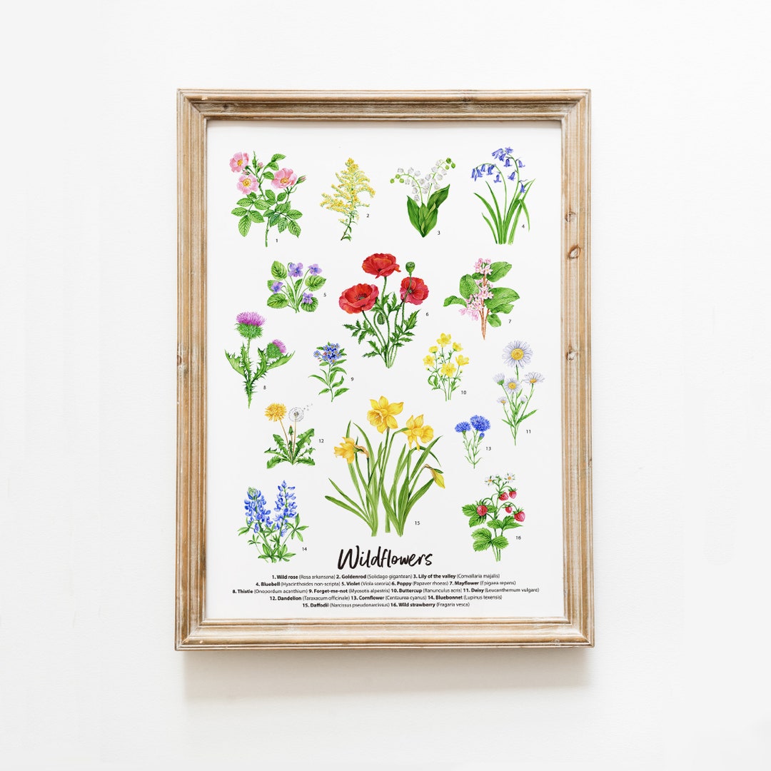Wildflowers Art Print | Botanical Nature Poster | Hand Painted With ...
