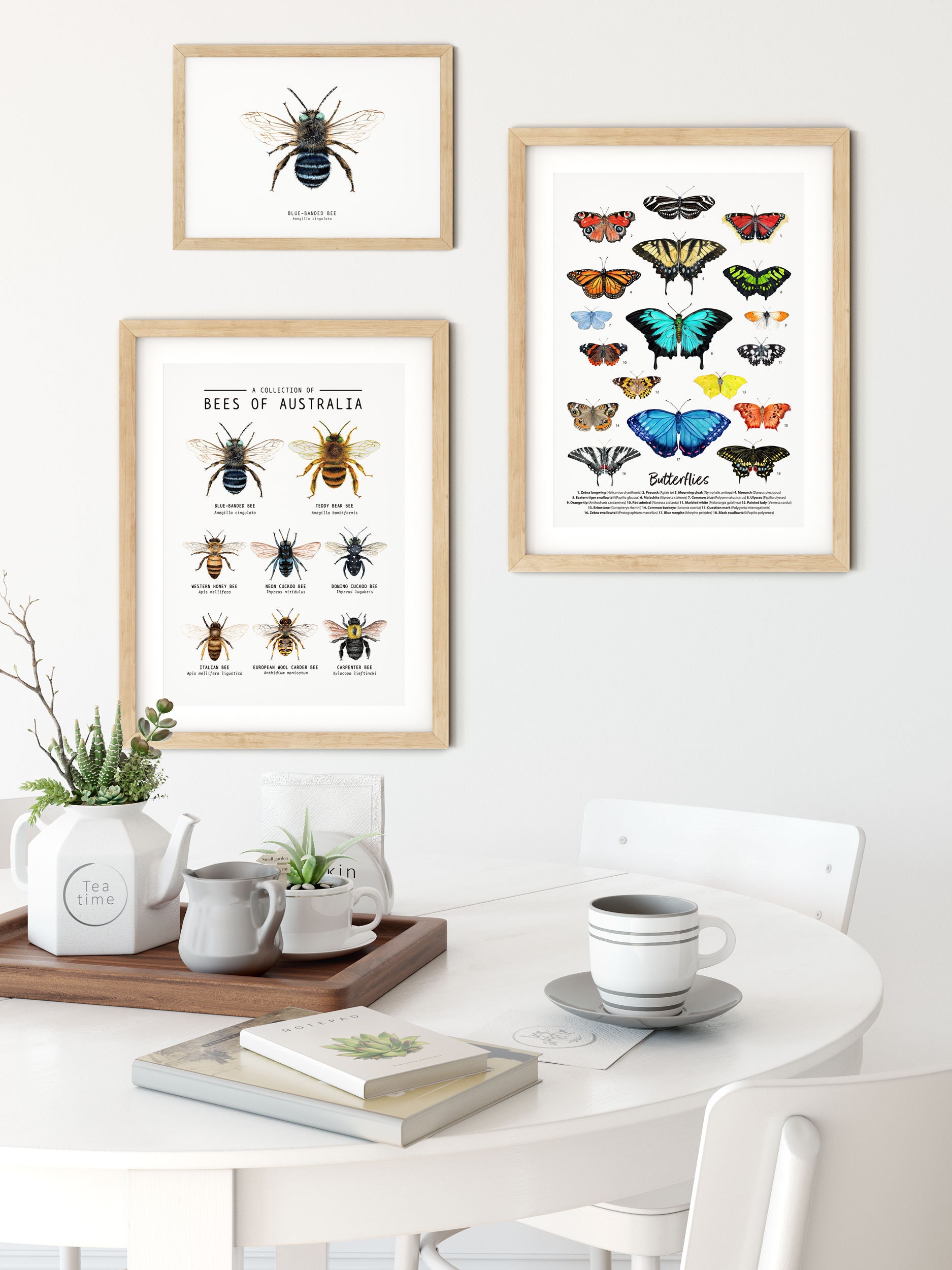 Bees of Australia Classroom Poster Montessori Learning Art - Etsy Australia