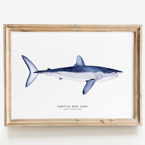 Shark Teeth Poster/art Print - Etsy