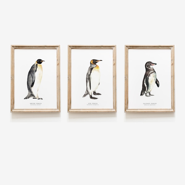 Penguin Art - Etsy