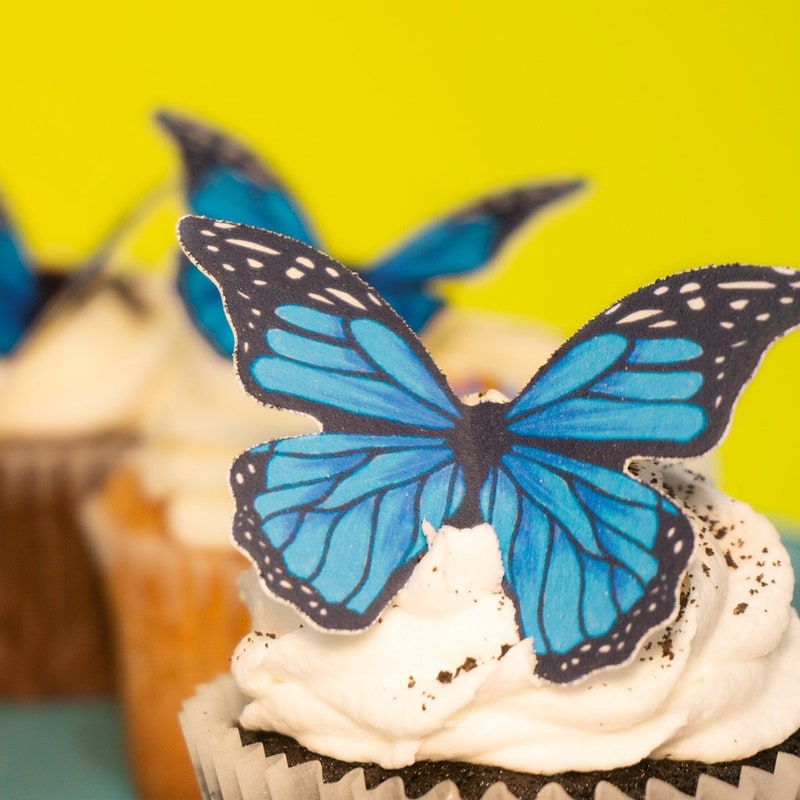 Edible Butterflies - Etsy