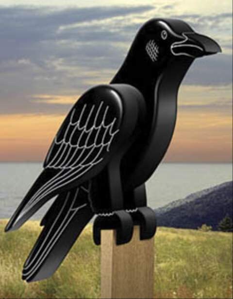 3d Crow - Etsy