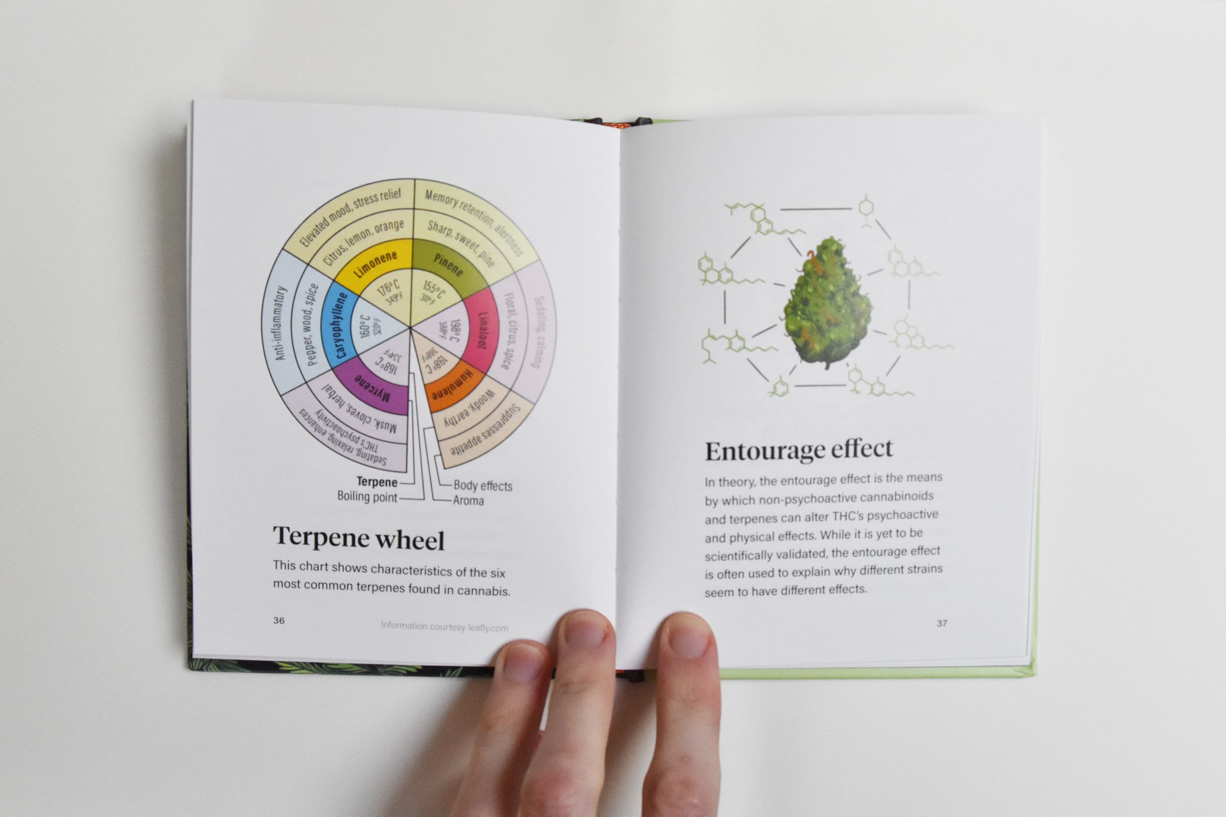 The Weed Book: A Visual Guide to Cannabis - Etsy