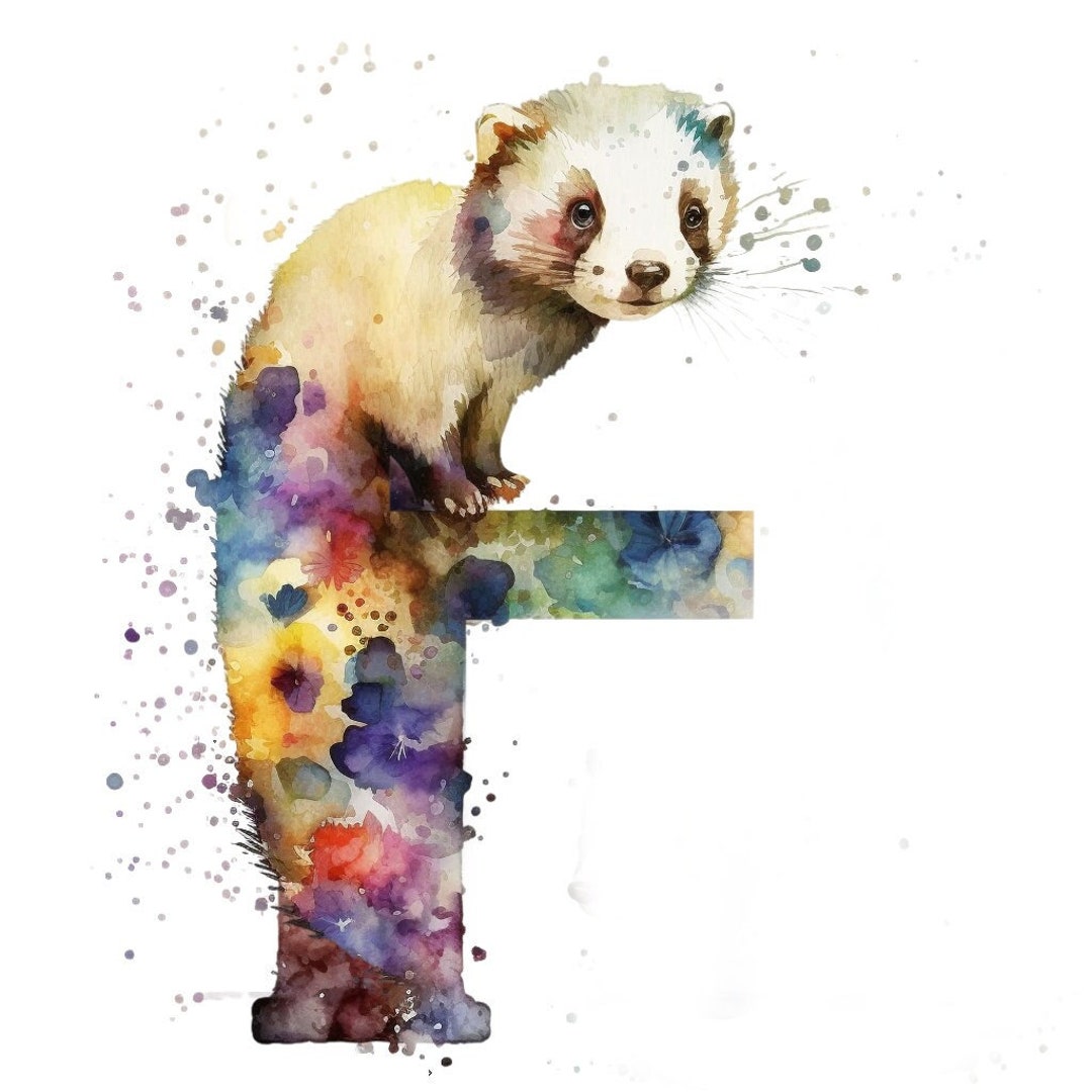Custom Children's Alphabet Letter F With a Ferret Art Print Animal ...