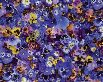 Magnolia Trail-black-magnolia Collection-northcott Studios-100% ...