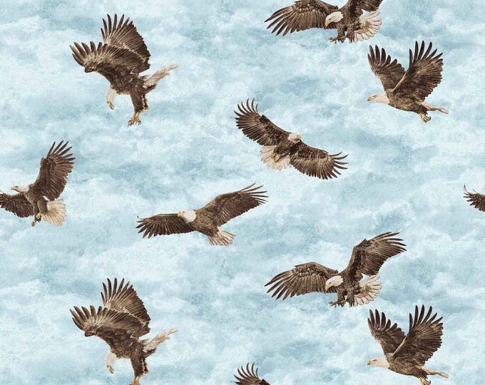 Eagle Pass-eagles-light Blue-stonehenge-linda Ludovico-northcott ...