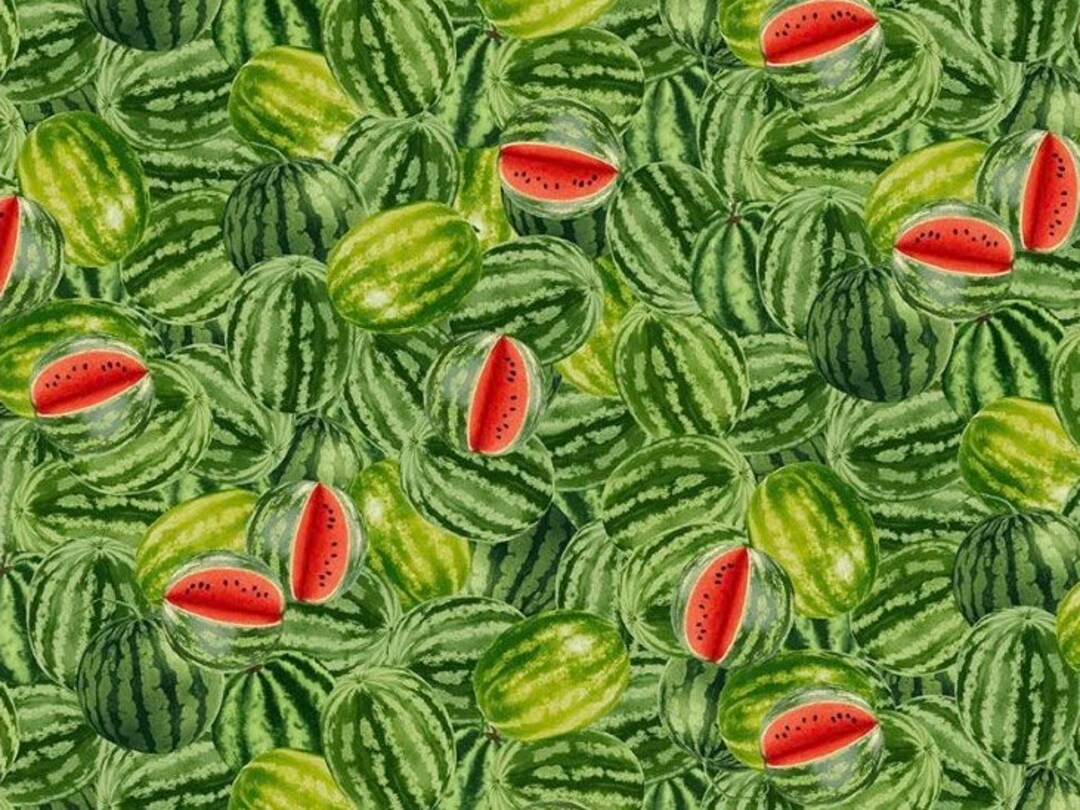 Watermelon-watermelon Party Collection-timeless Treasures-gnome-daisies ...