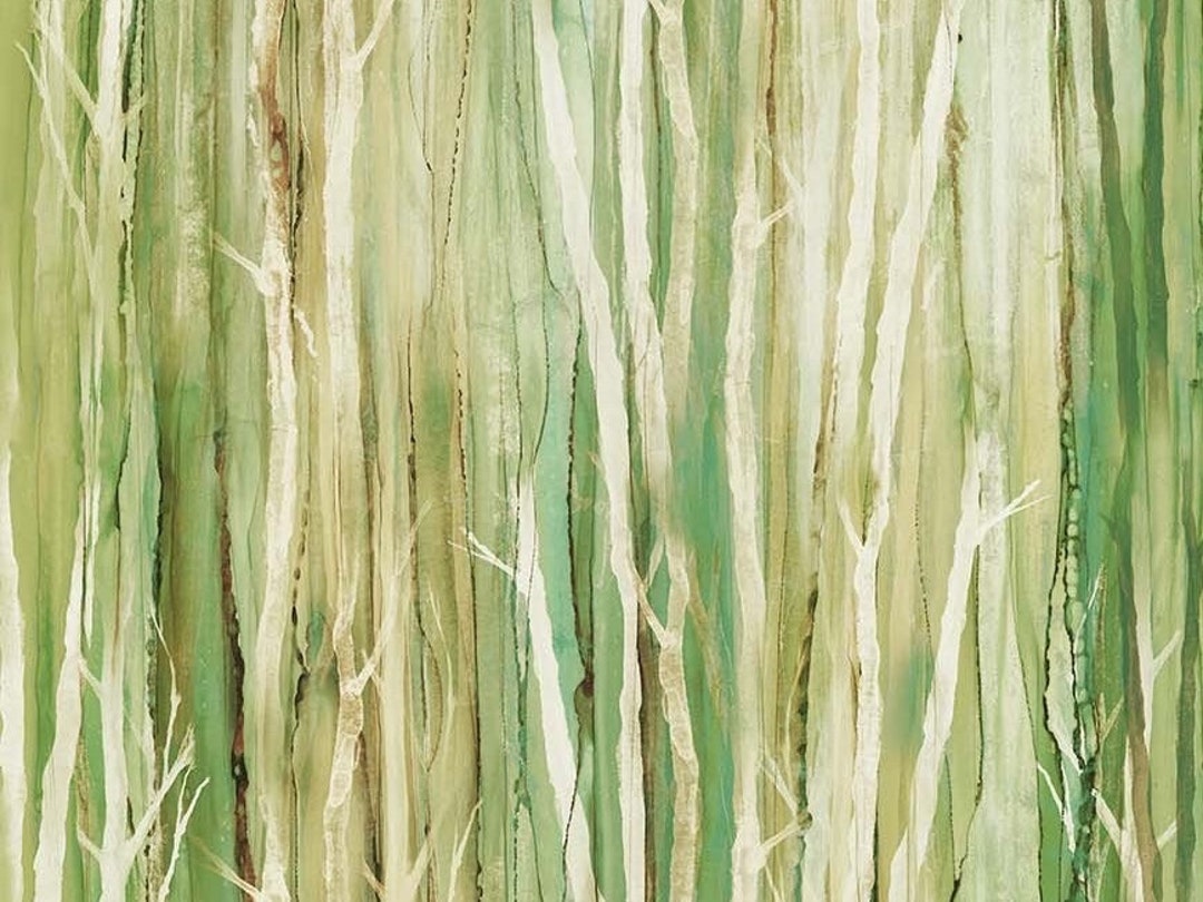 Cedarcrest Falls-twig Texture-olive-northcott Fabrics-deborah Edwards ...