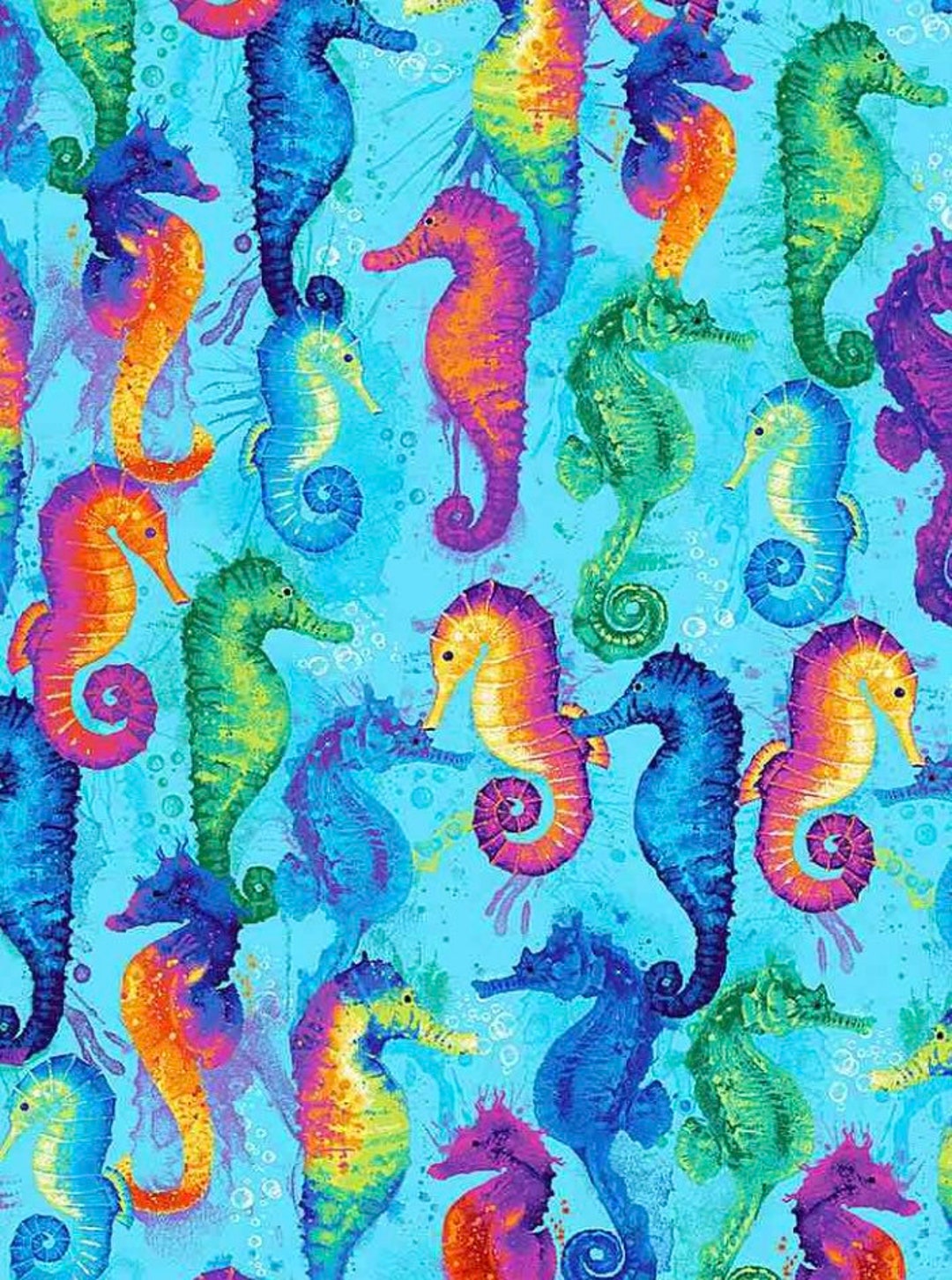 Rainbow Seahorses
