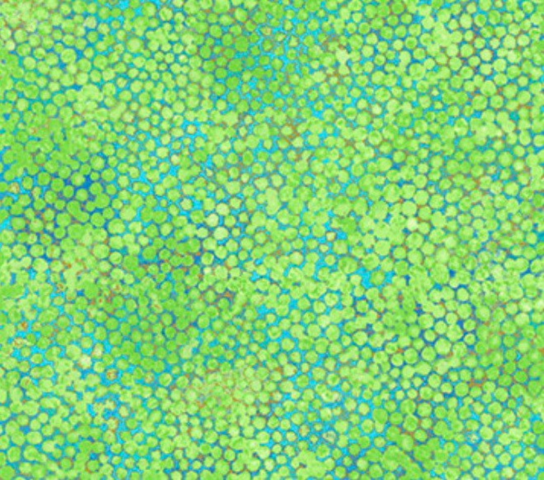 Shimmer-pebbles-lime Green-metallic Gold-luminosity-northcott Studios ...