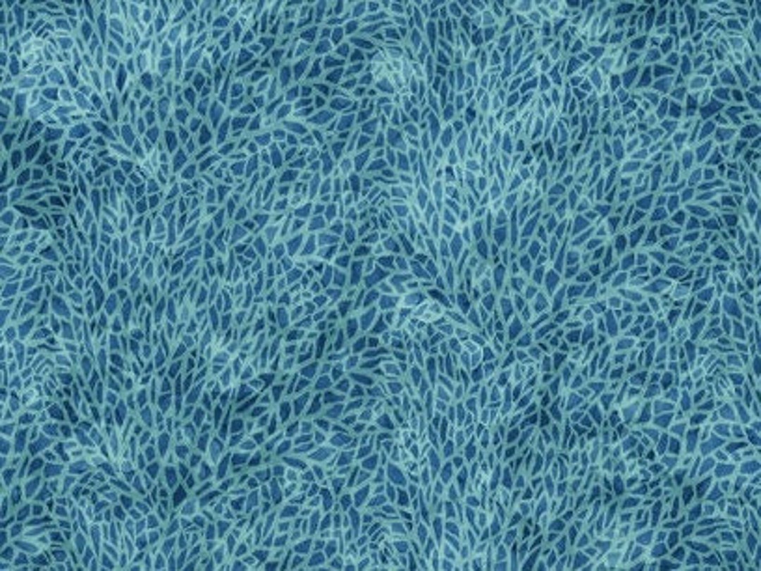 Sea Breeze-coral Blender-blue-northcott Fabrics-melanie Samra-deborah ...