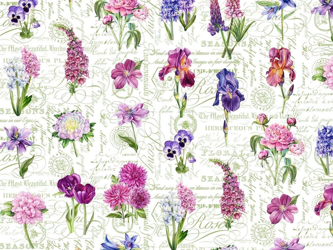 Deborahs Garden-floral and Toile-white-french-script-northcott Fabrics ...