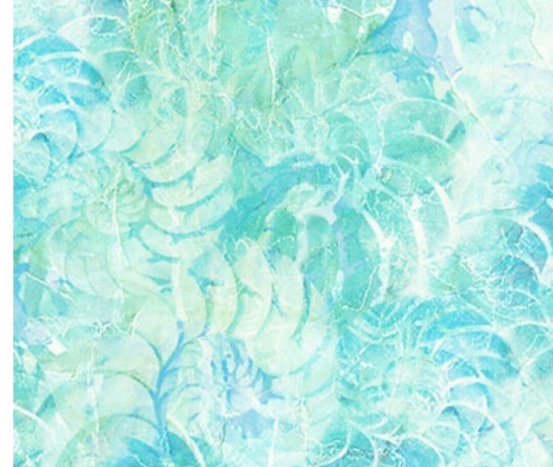 Nautilus Shells-turquoise-vitamin Sea Collection-shell-northcott ...