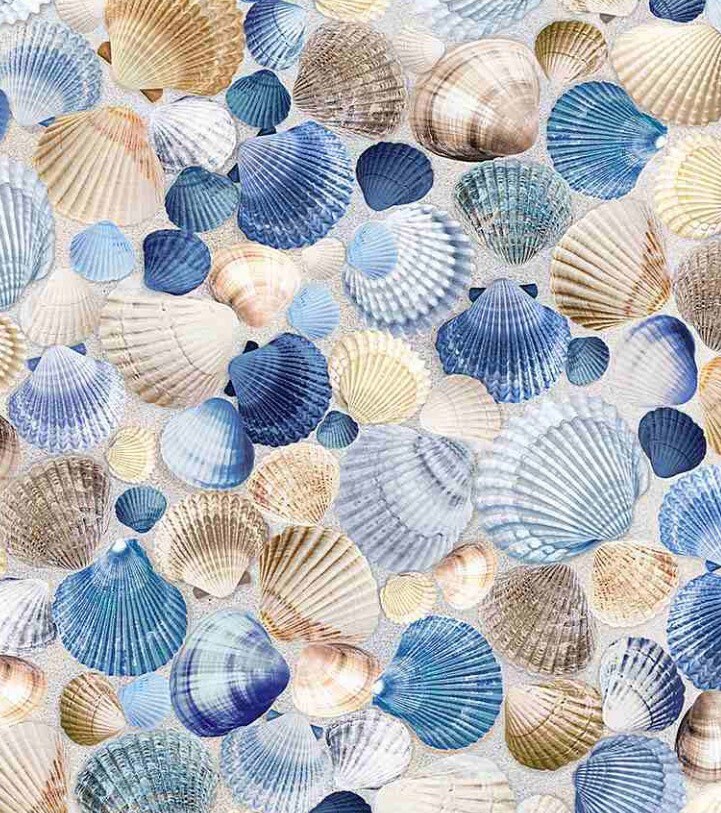 Blue Seashell Wallpaper