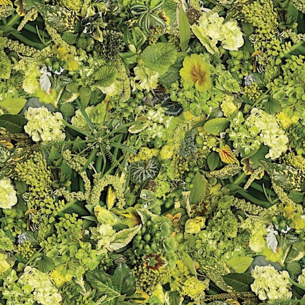 Maywood Studio Greenery - Etsy