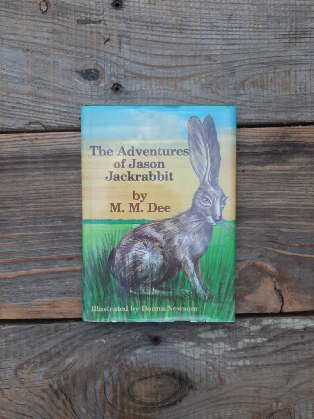 The Adventures of Jason Jackrabbit by M.M. Dee- 1990- Children's Book ...