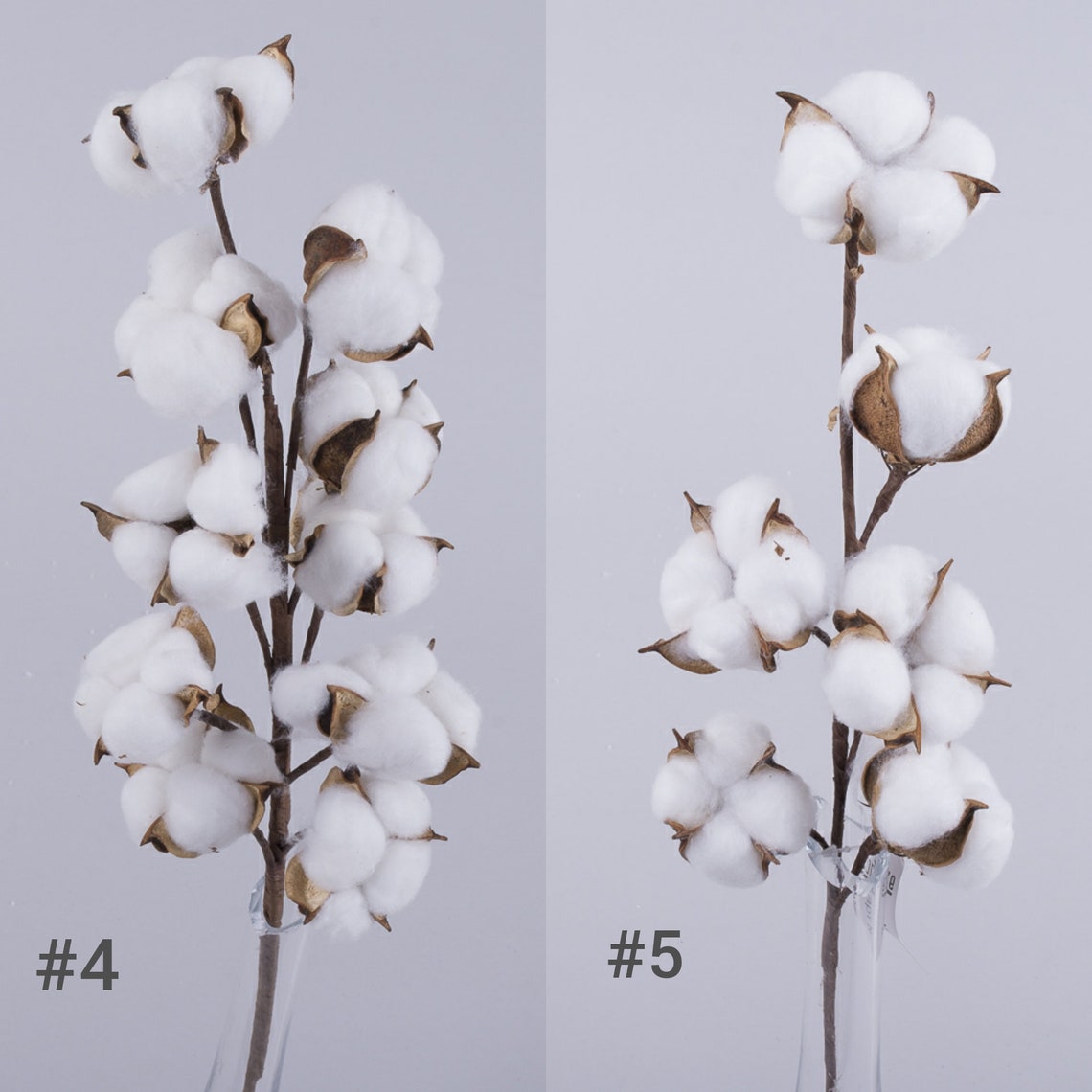Dried Cotton Stems, Cotton Twigs, Cotton Branch, Natural Rustic Wedding ...