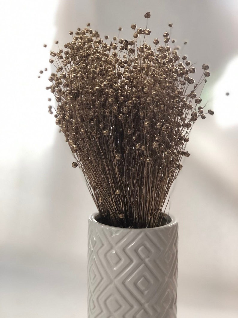 Silver Dried Flax Linum, Dried Linum Natural Bunch,dried Grass, Natural ...