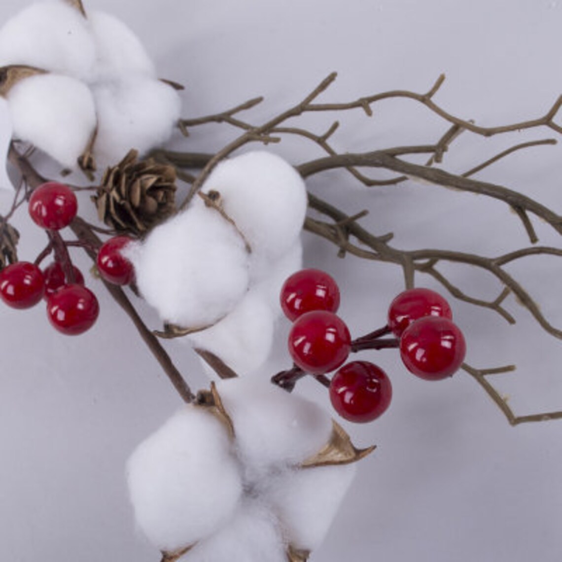 Dried Cotton Stems, Cotton Twigs, Cotton Branch, Natural Rustic Wedding ...