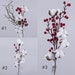 Dried Cotton Stems, Cotton Twigs, Cotton Branch, Natural Rustic Wedding ...