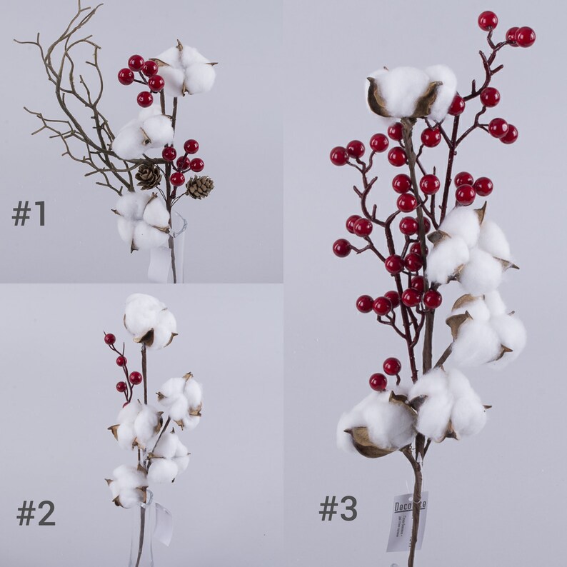 Dried Cotton Stems, Cotton Twigs, Cotton Branch, Natural Rustic Wedding ...