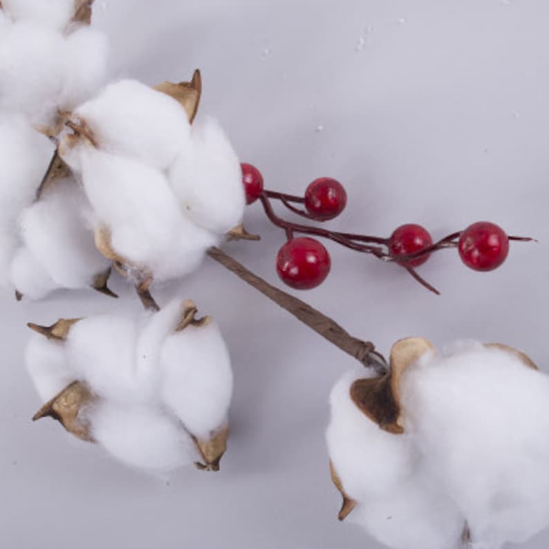 Dried Cotton Stems, Cotton Twigs, Cotton Branch, Natural Rustic Wedding ...