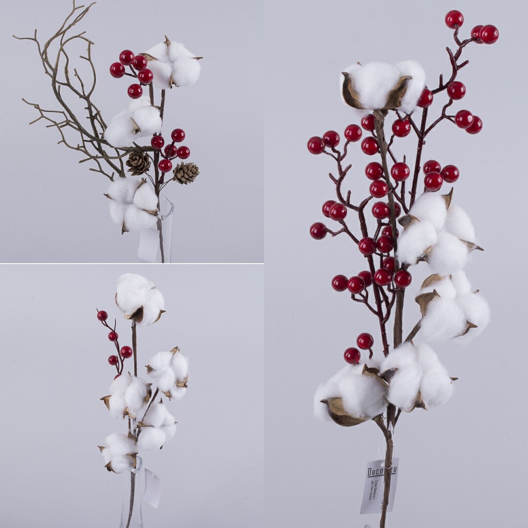 Dried Cotton Stems, Cotton Twigs, Cotton Branch, Natural Rustic Wedding ...