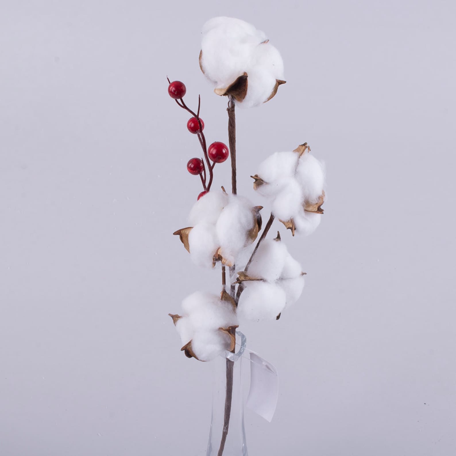 Dried Cotton Stems, Cotton Twigs, Cotton Branch, Natural Rustic Wedding ...