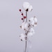 Dried Cotton Stems, Cotton Twigs, Cotton Branch, Natural Rustic Wedding ...