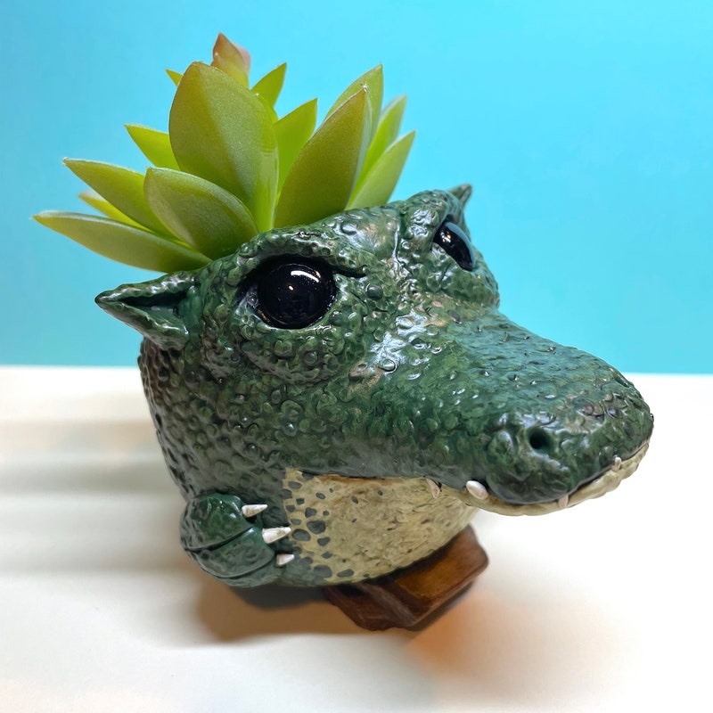 Alligator Planter - Etsy