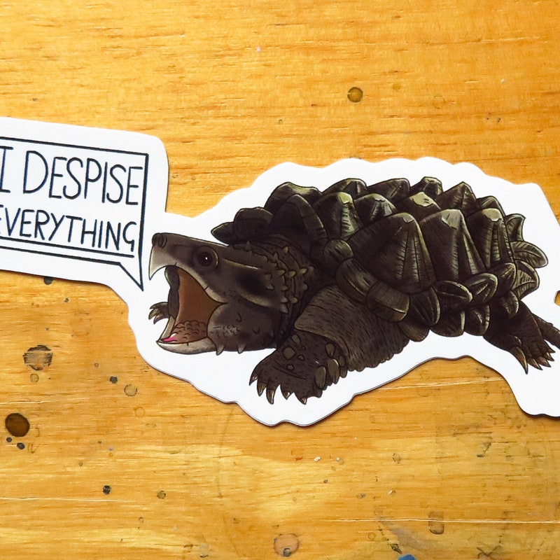 Snapping Turtle - Etsy