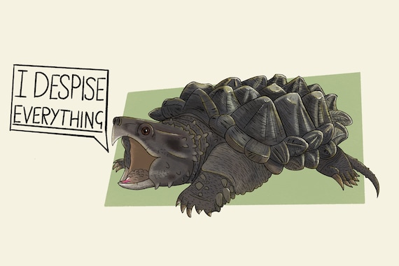 Snapping Turtle Art