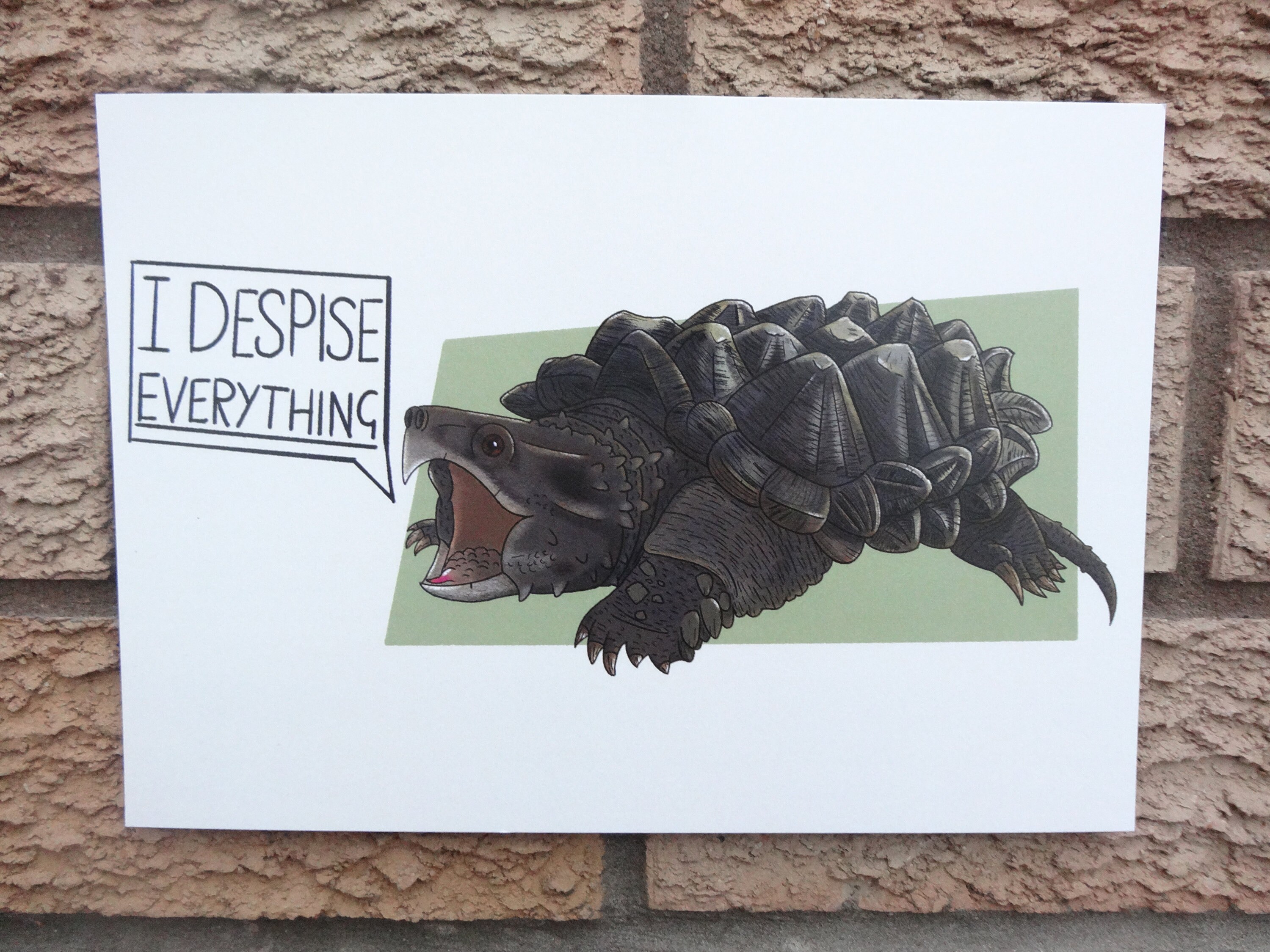 A5 Alligator Snapping Turtle Art Print - Etsy