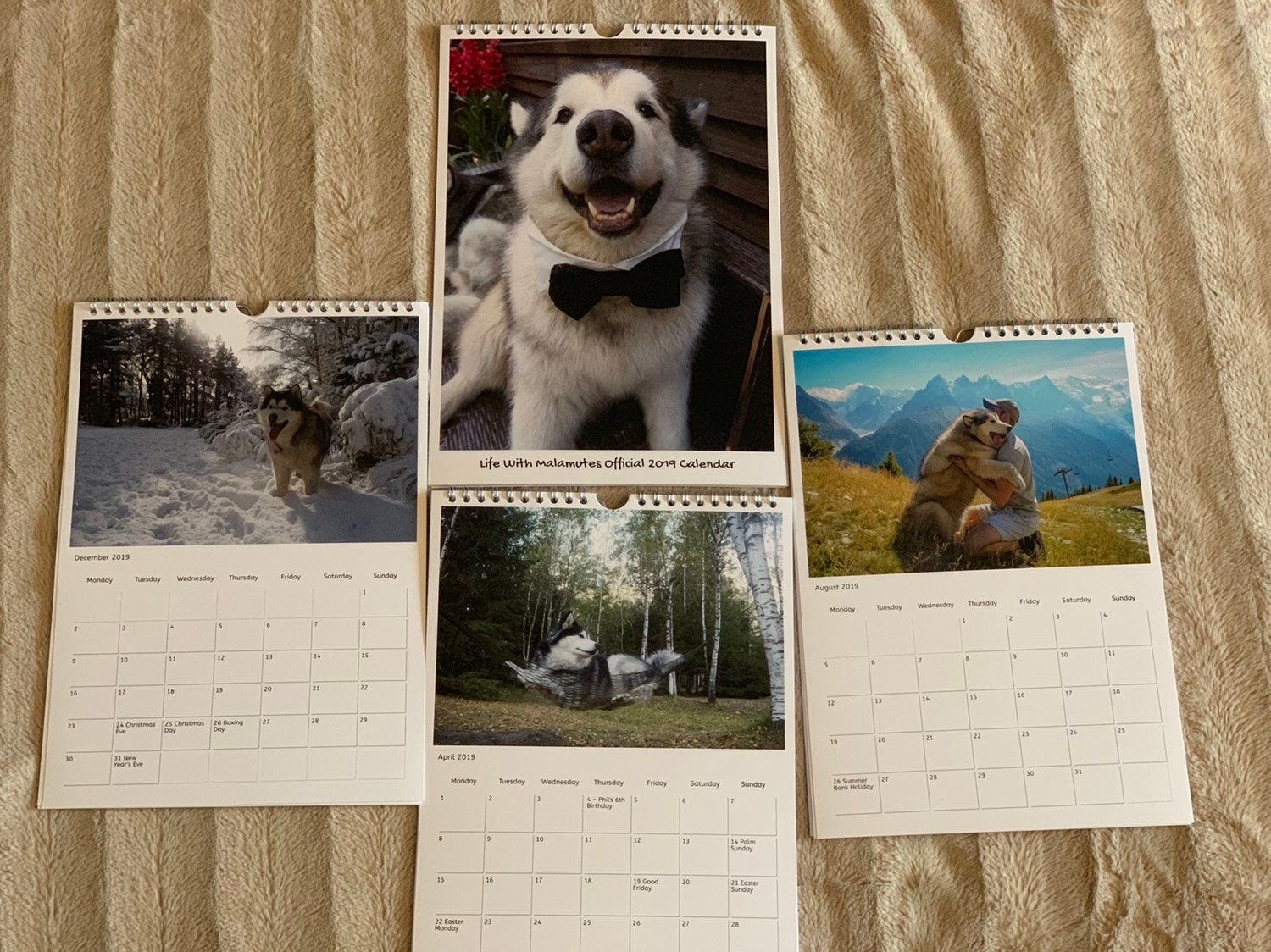 2019 Calendar by Life With Malamutes - Etsy