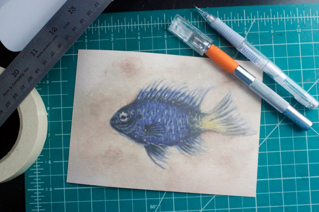 Damsel Fish Painting Poster Print - Etsy