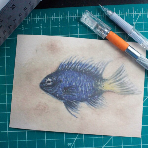 Fish Painting - Etsy