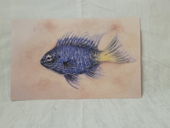 Damsel Fish Painting Poster Print | Etsy