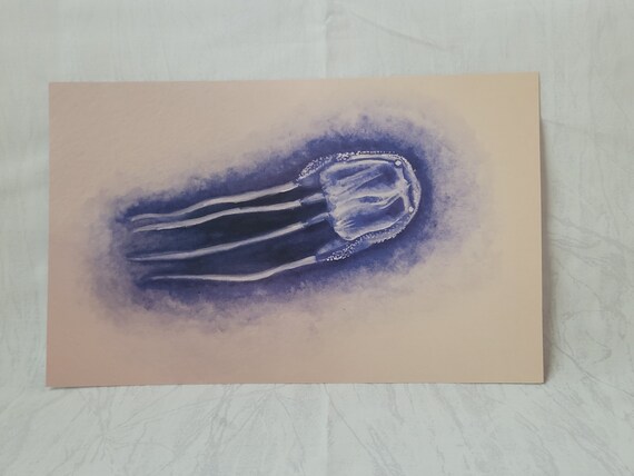 Box Jellyfish Painting Print - Etsy