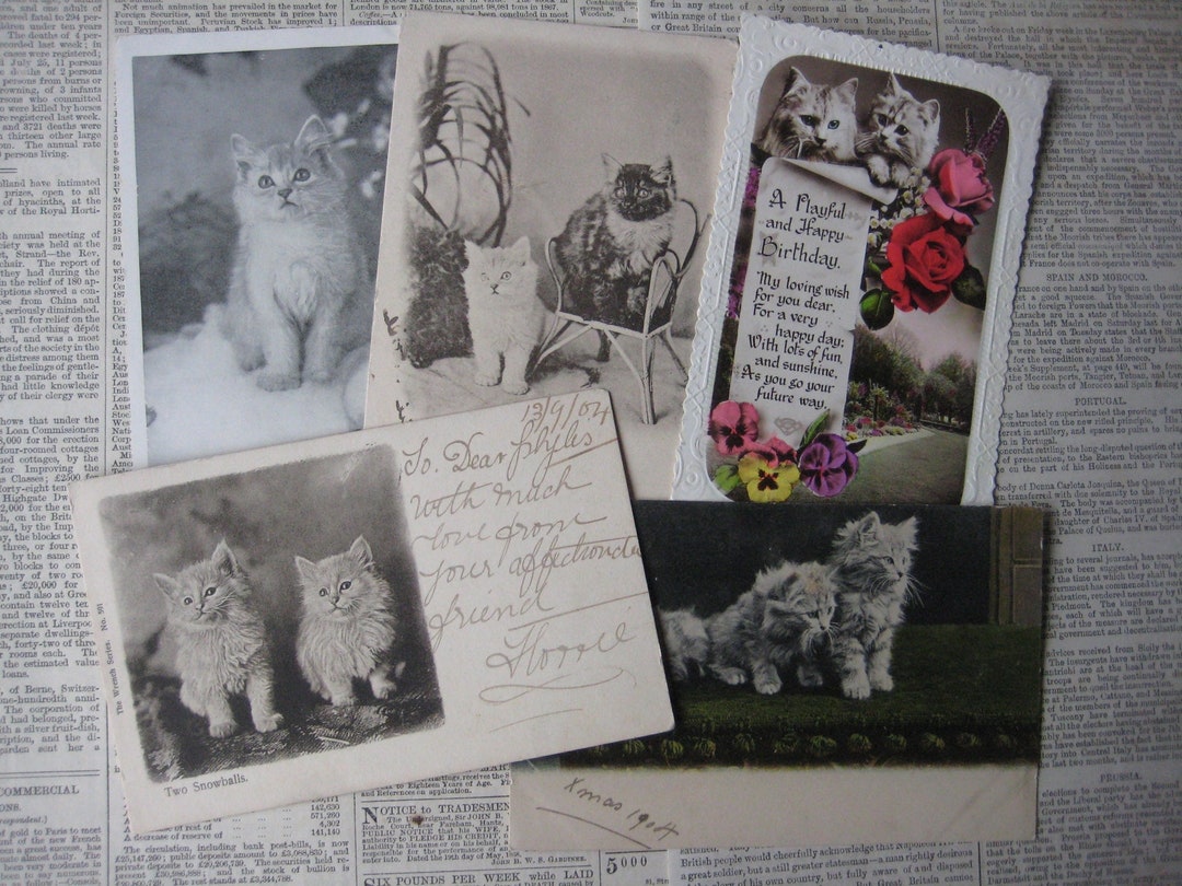 5 Vintage Cat Postcards 1900's and 1930's Beautiful Original Postcards Cat Pictures Collectable ...