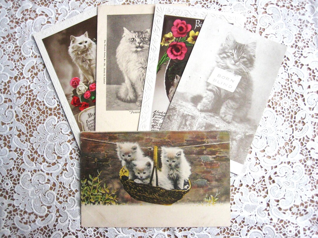 5 Vintage Cat Postcards | 1900's and 1930's |original Postcards | Cat ...