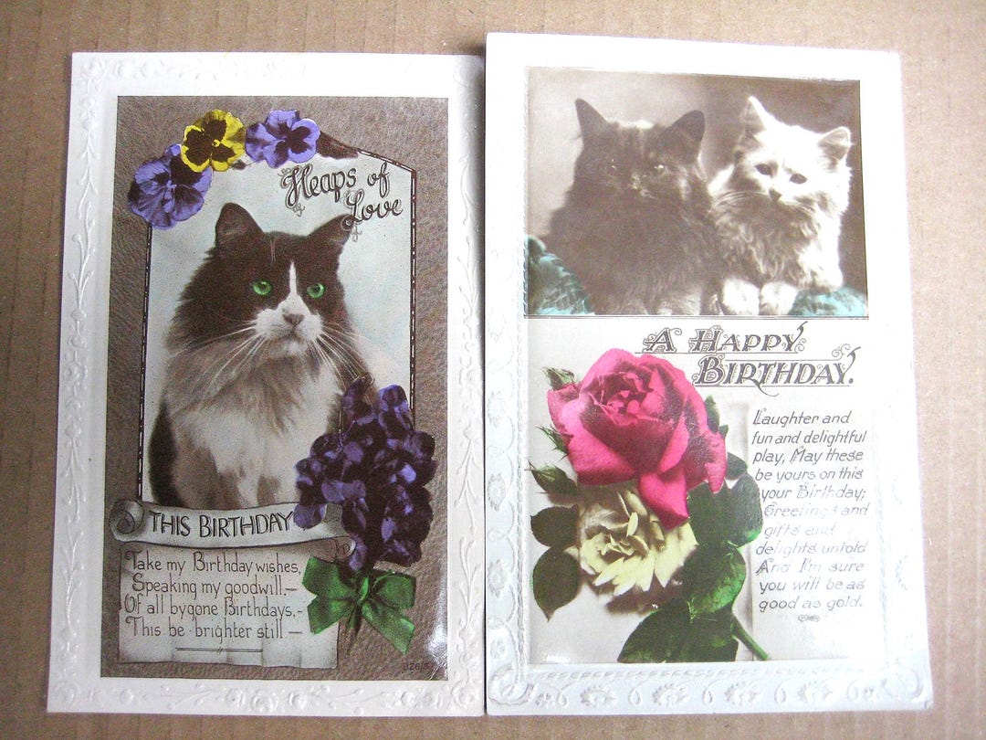 5 Vintage Cat Postcards 1920's and 1930's Beautiful Original Postcards ...