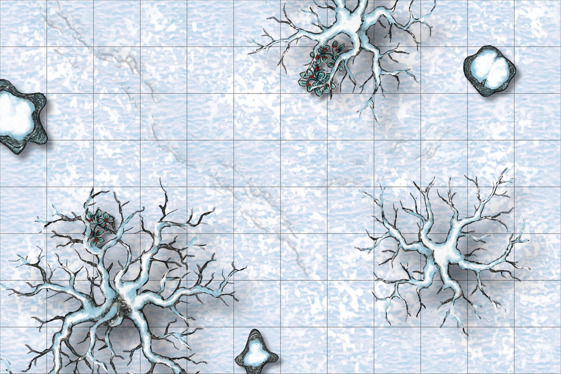 Snow Battle Map 4K, Dnd Battle Map, D&D, Battlemap, Dungeons and ...