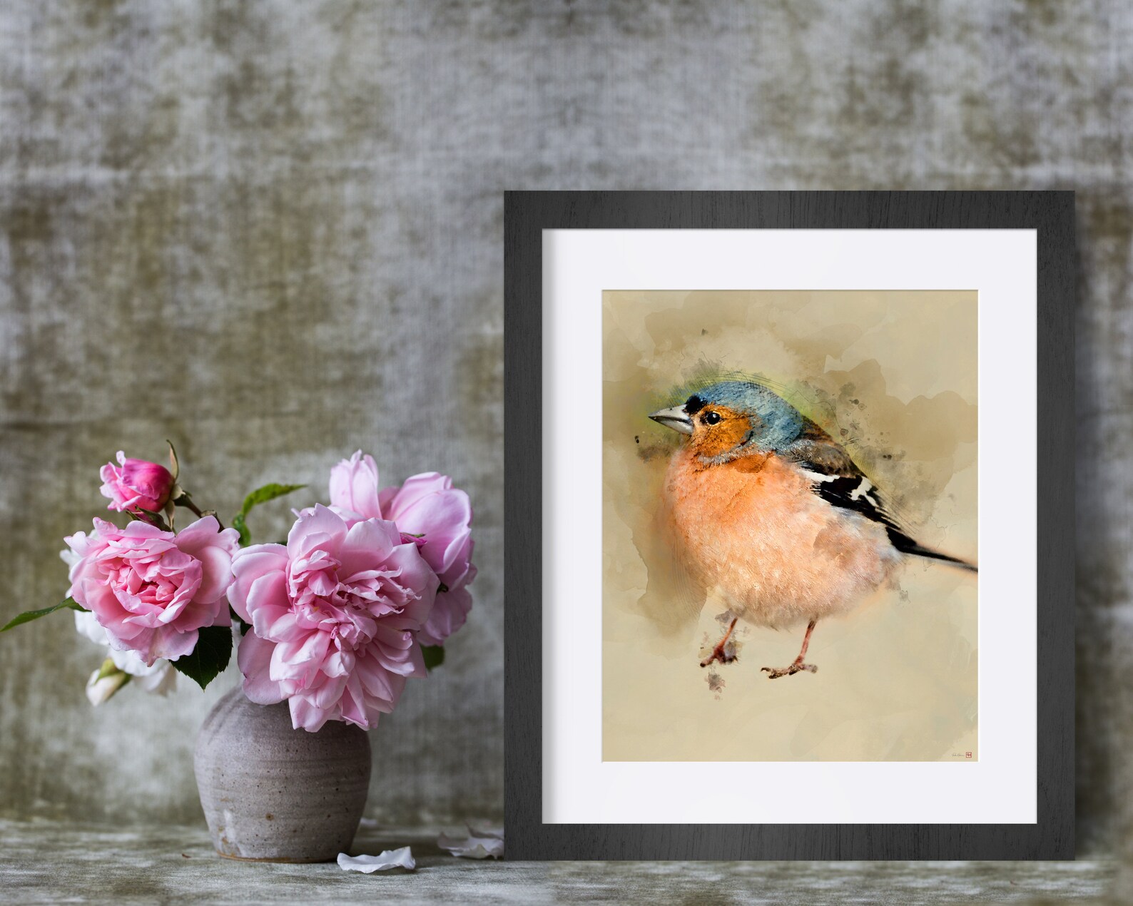 Chaffinch Fine Art Bird Print Common Chaffinch Decor Bird - Etsy