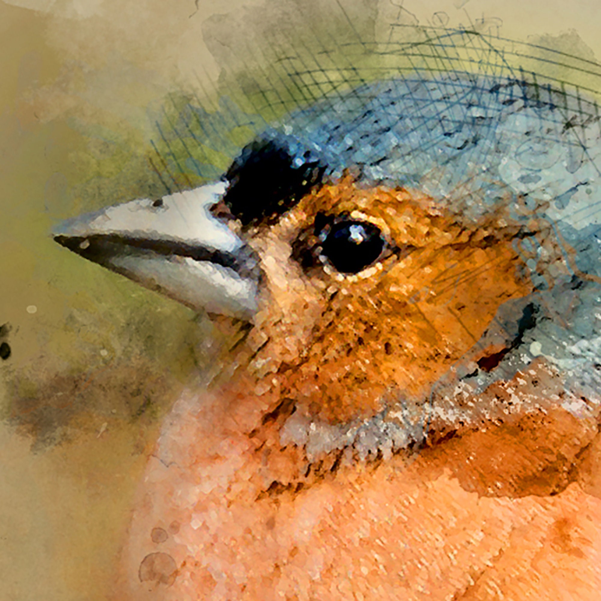 Chaffinch Fine Art Bird Print Common Chaffinch Decor Bird - Etsy